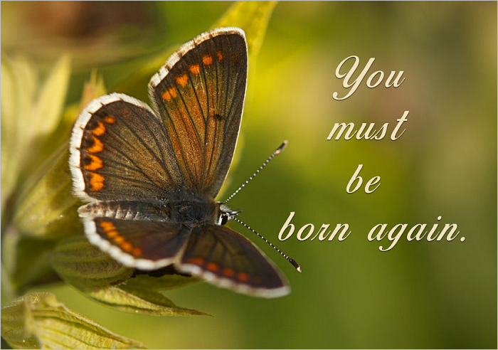 Why One MUST Be Born Again – Articles For The Christian Reader